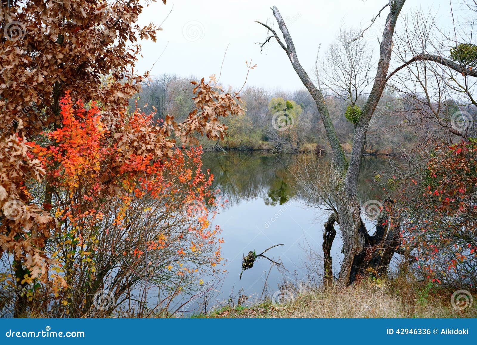 Autumn Colorful Landscape by the River Stock Photo - Image of fall ...