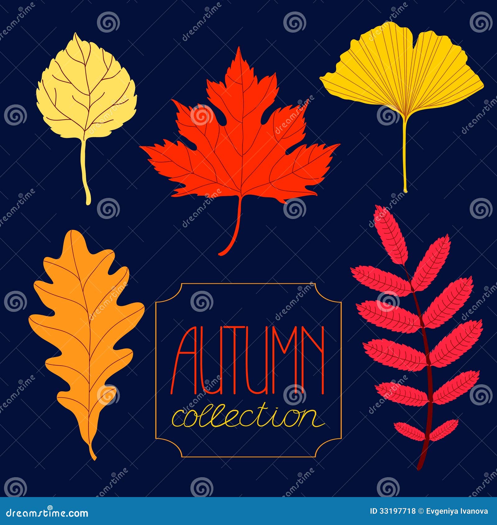 Autumn colorful leaves set stock illustration. Illustration of colored ...