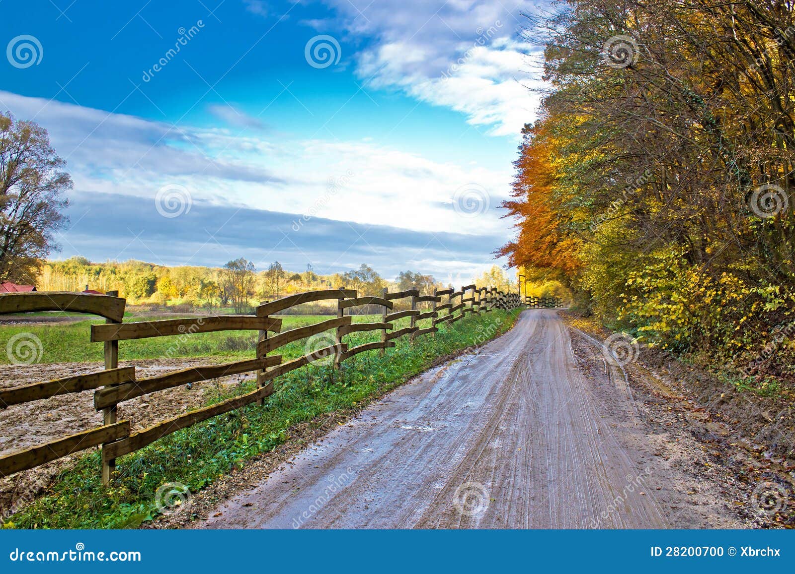 Autumn Colorful Mountain Dirt Road Stock Photo - Image of kalnik ...