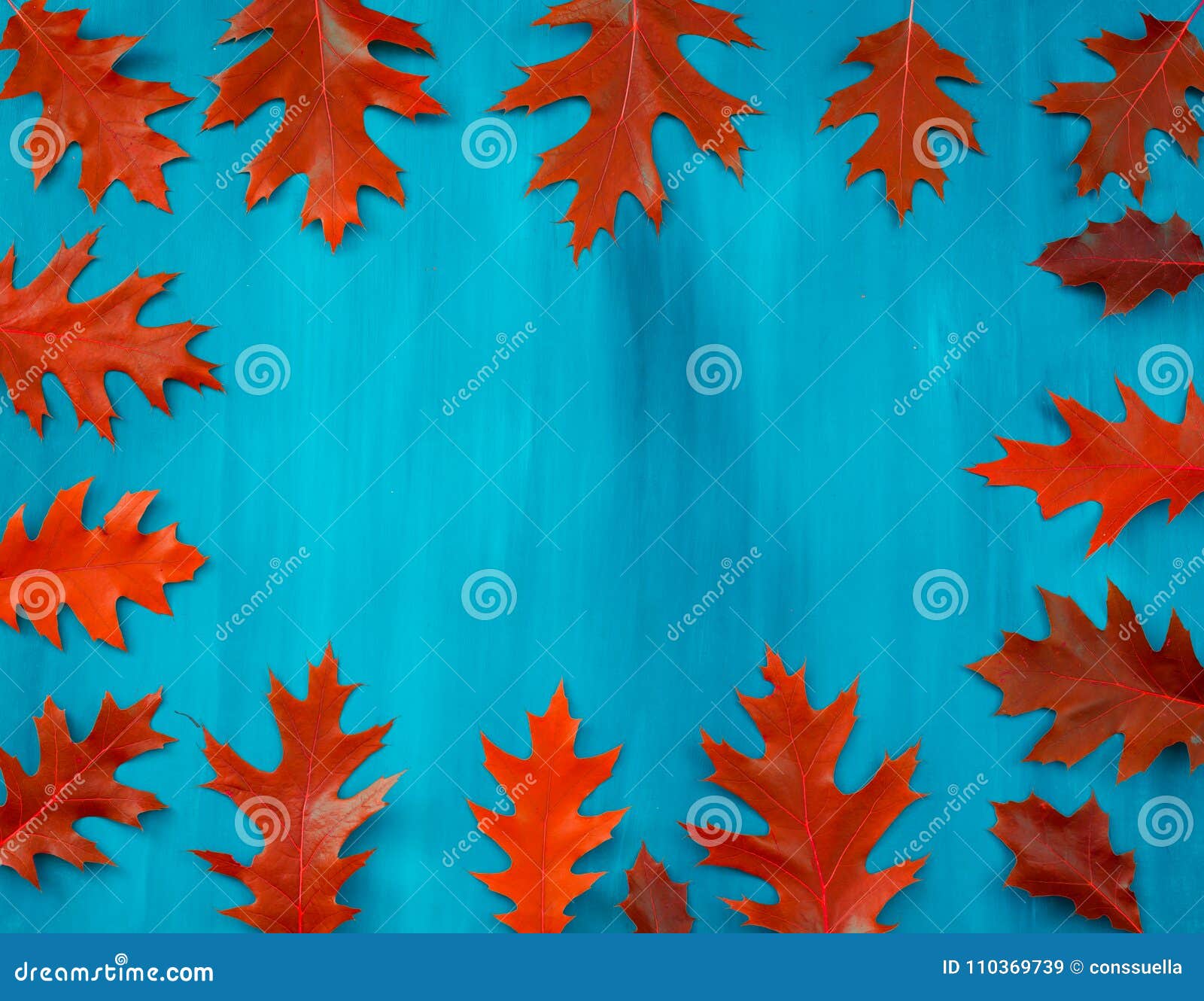 Autumn Colorful Oak Leaf Background, Frame. Stock Image - Image of ...