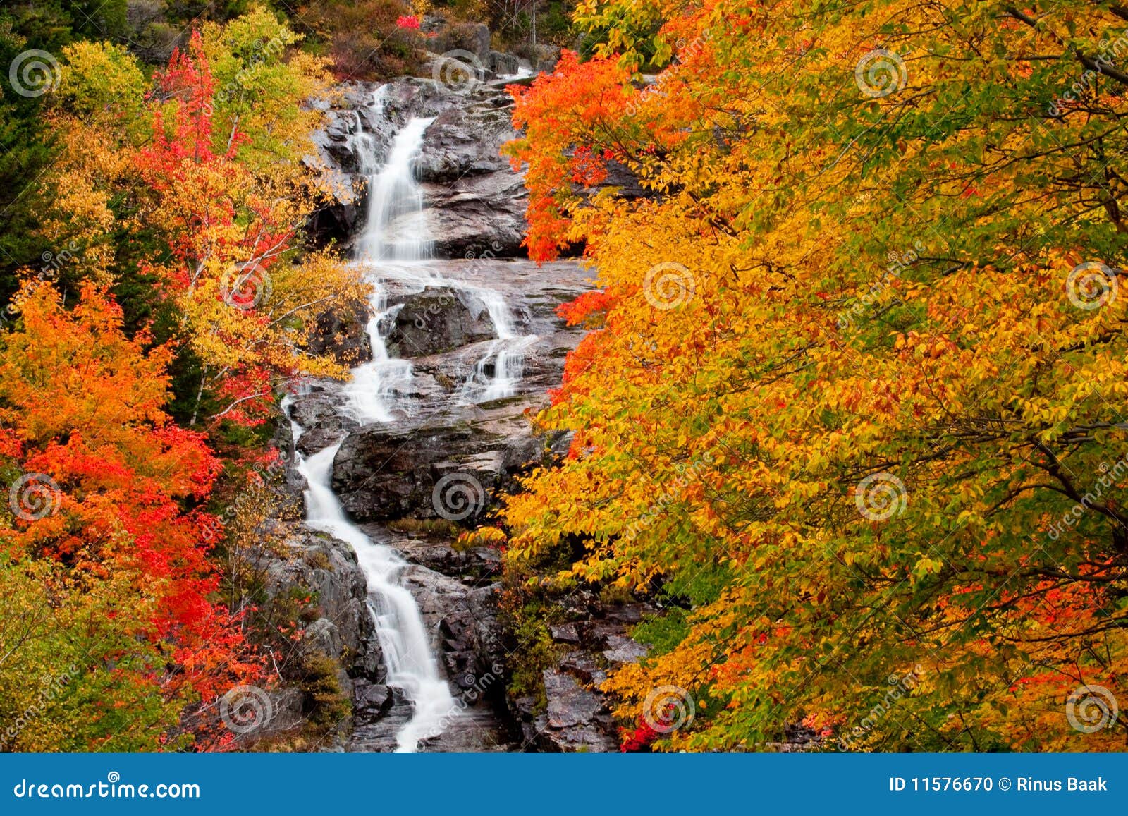 Autumn Colors stock photo. Image of yellow, hard, trees - 11576670