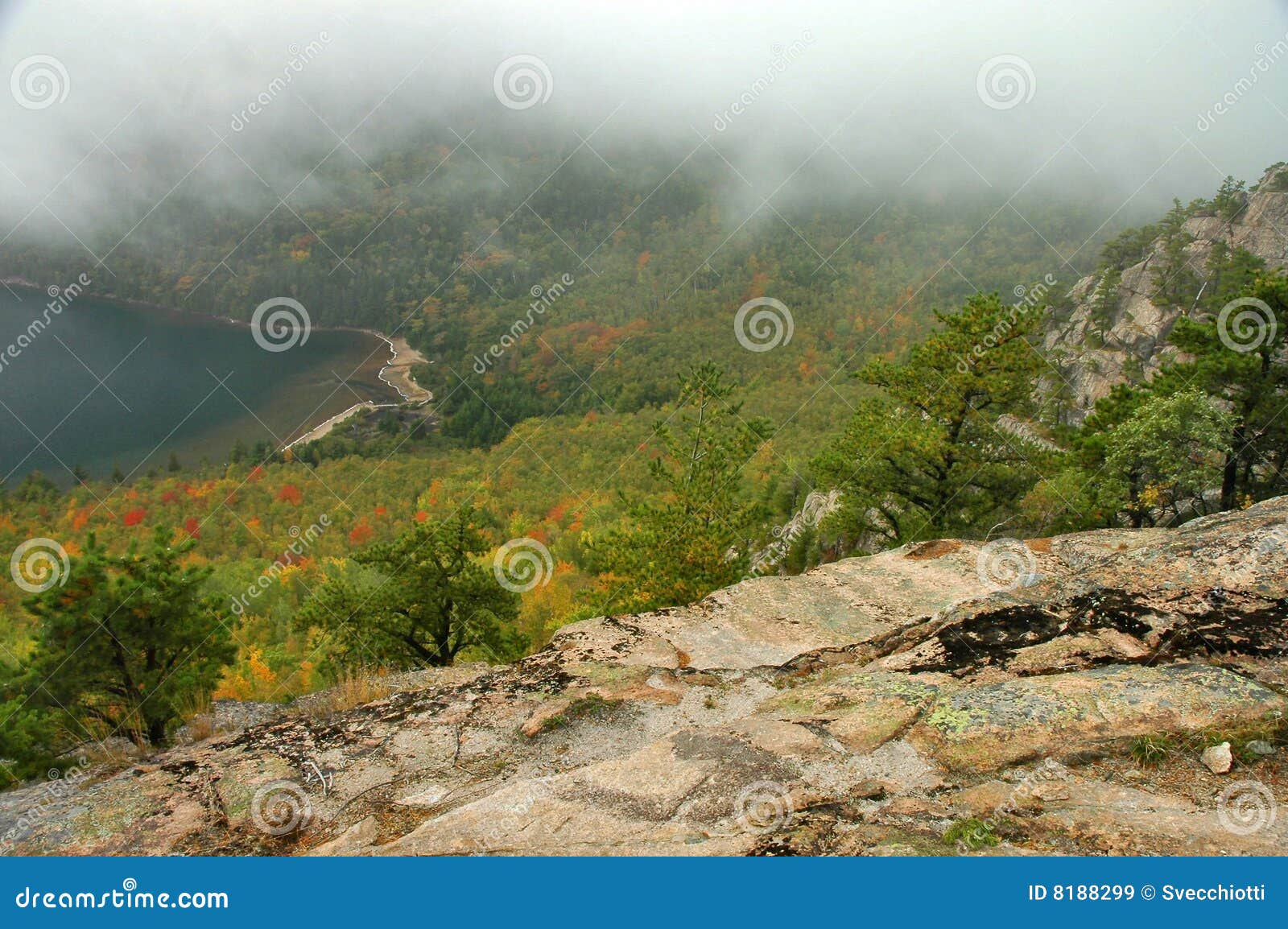 Autumn Colors, Acadia stock image. Image of united, northeast - 8188299