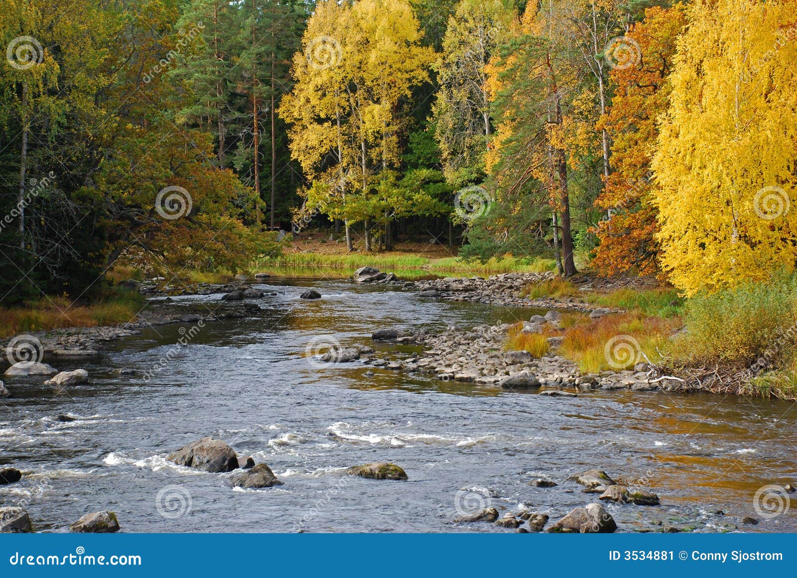 Autumn colors along river stock image. Image of leaves - 3534881