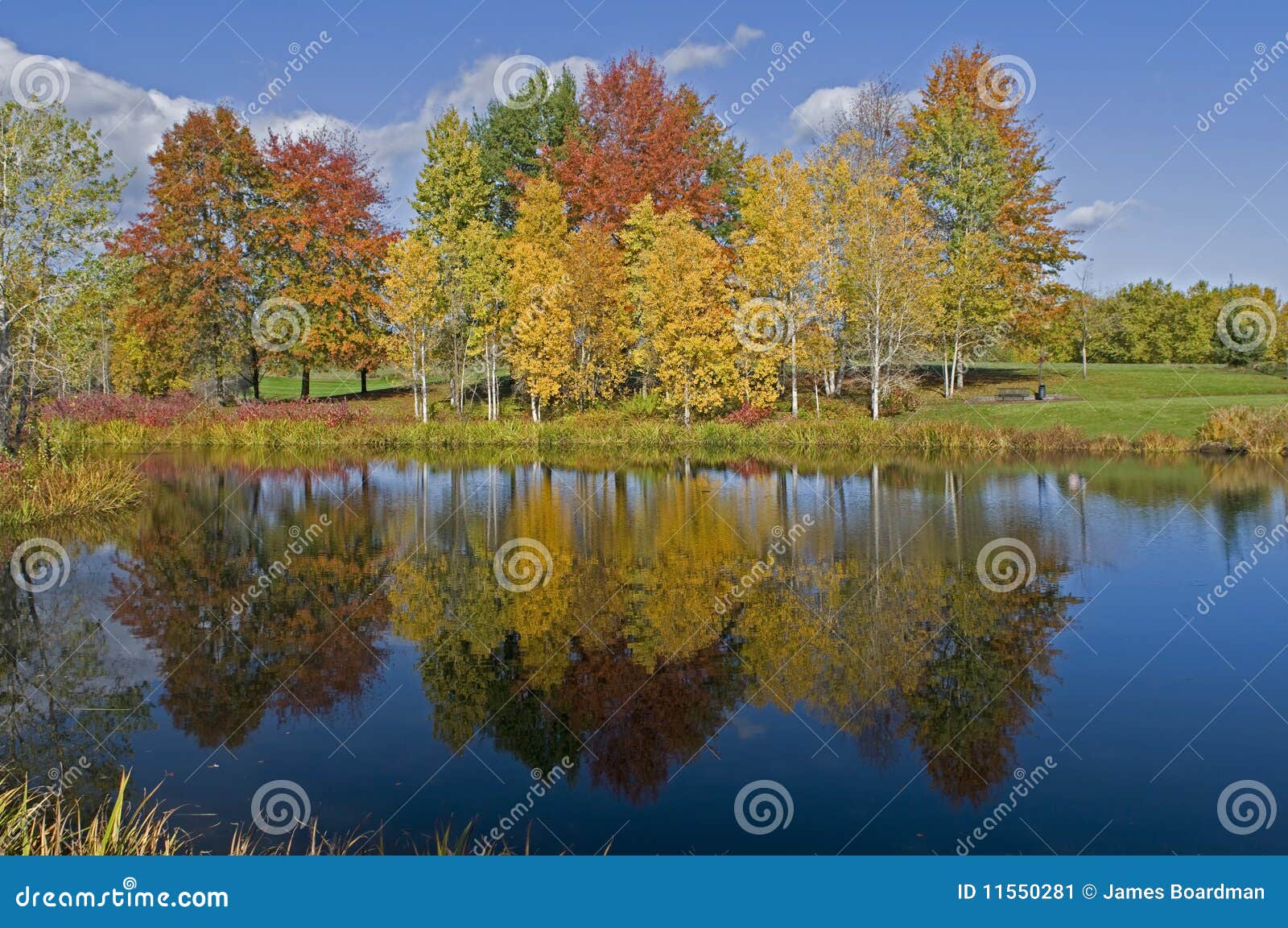 Autumn Colors and Blue Sky Reflecting Stock Image - Image of crossing ...