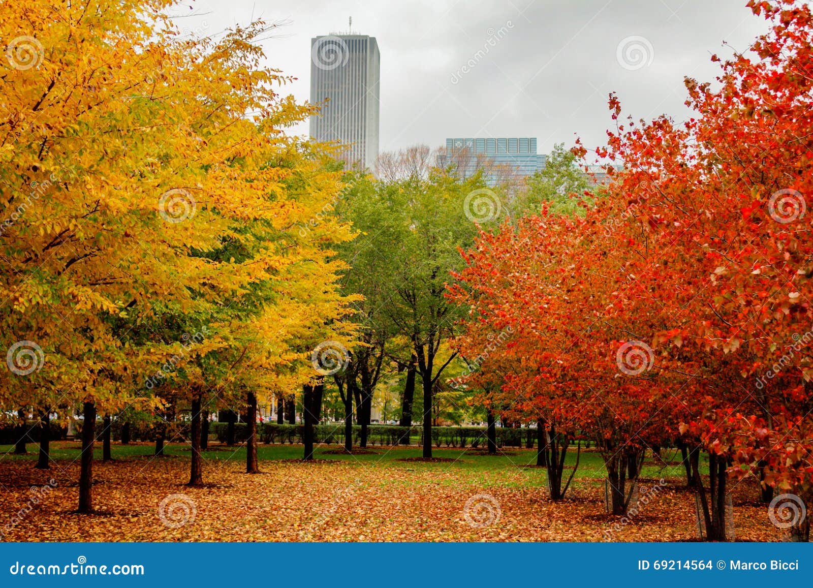 Autumn colors in Chicago stock photo. Image of chicago - 69214564