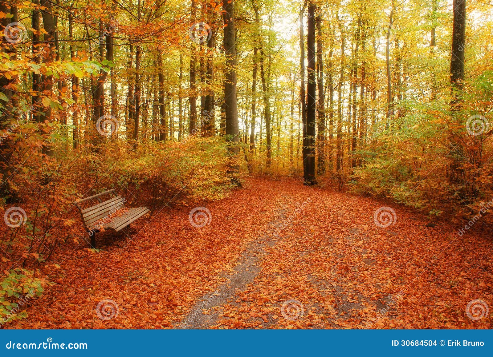 Autumn colors stock photo. Image of orange, colors, october - 30684504