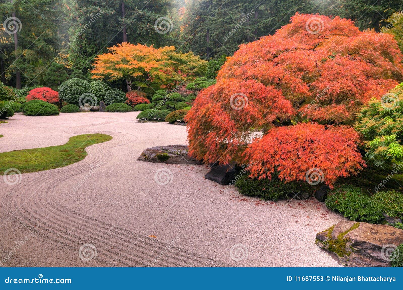 Autumn colors in garden stock image. Image of pattern - 11687553