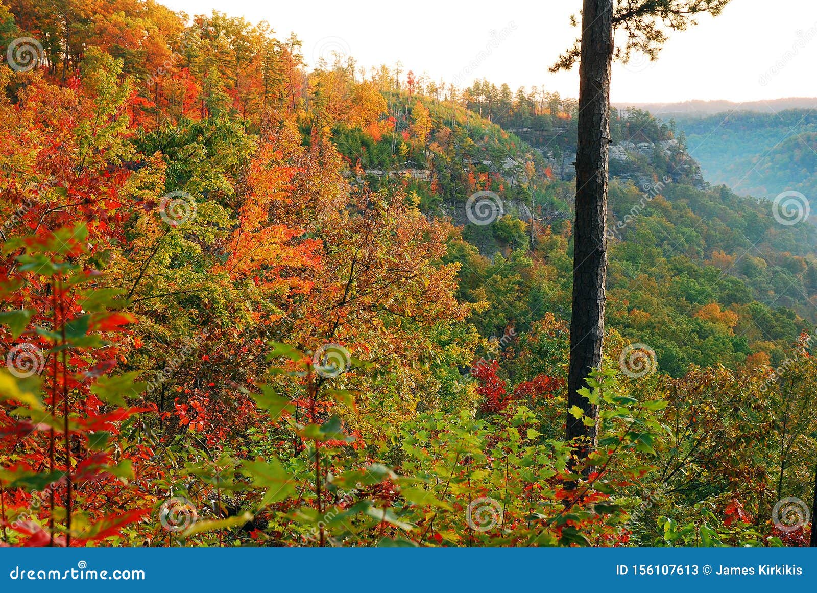 Autumn Colors on a Hillside Stock Image - Image of colorful, leaves ...