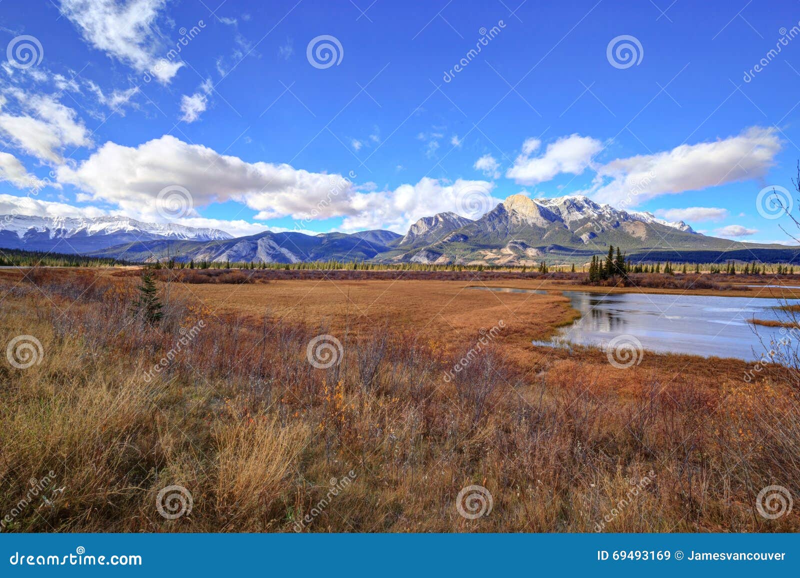 Autumn Colors of Jasper National Park Stock Image - Image of marsh ...