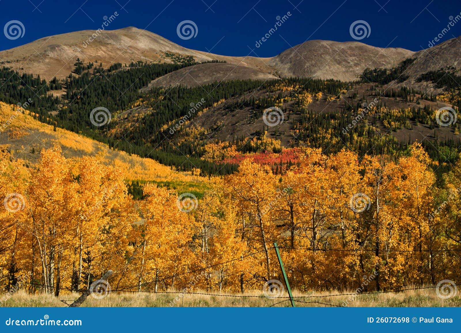 Autumn Colors in the Mountains of Colorado Stock Photo - Image of rocky ...