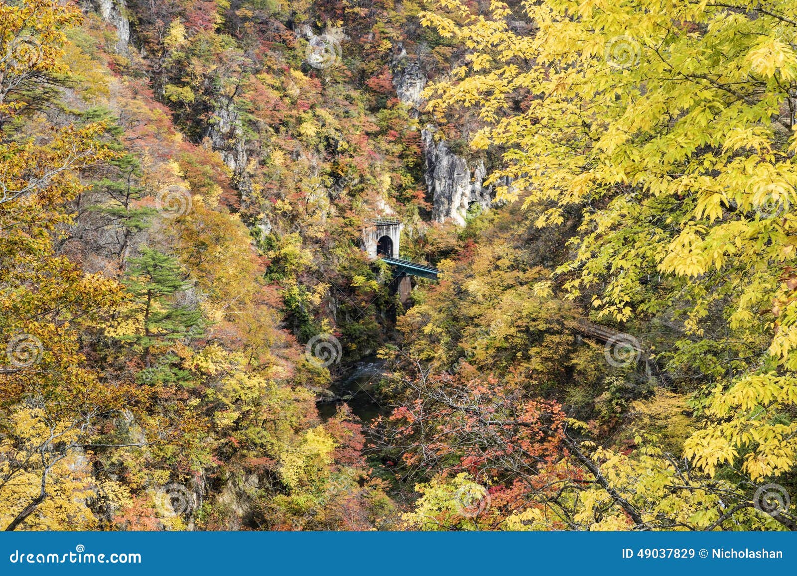Autumn Colors of Naruko-Gorge in Japan Stock Image - Image of plant ...