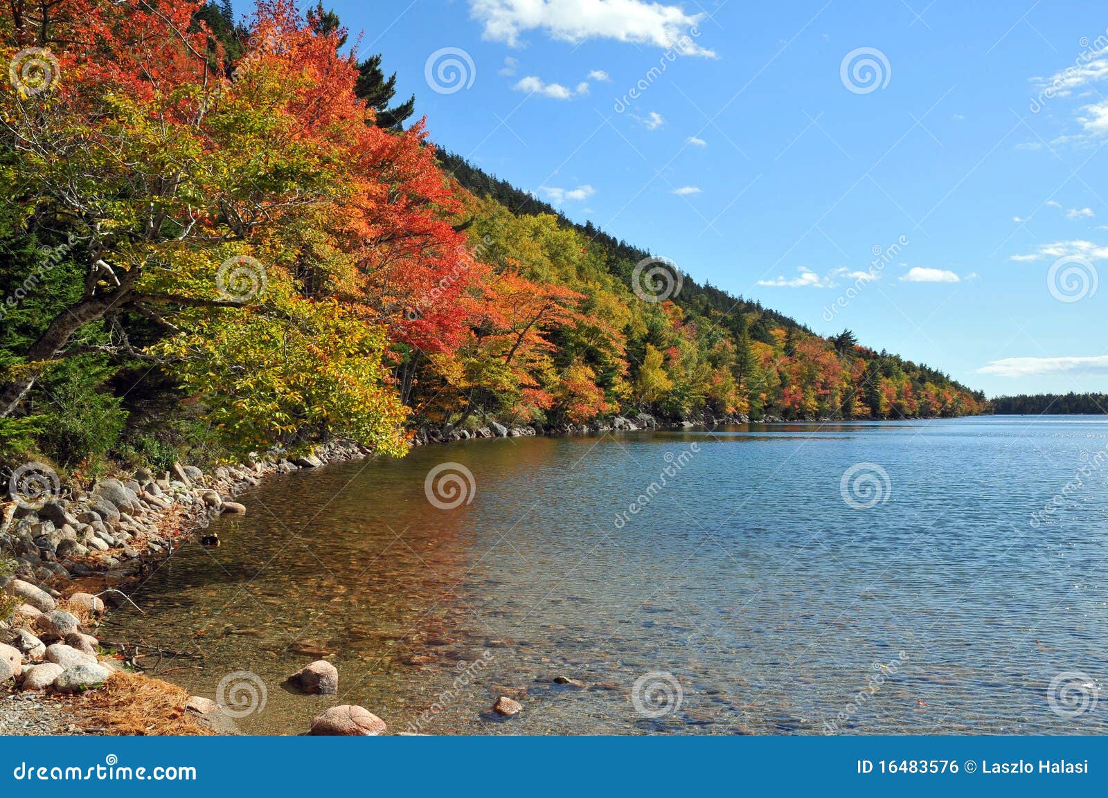 Autumn Colors in the National Park of Bar Harbor Stock Photo - Image of ...