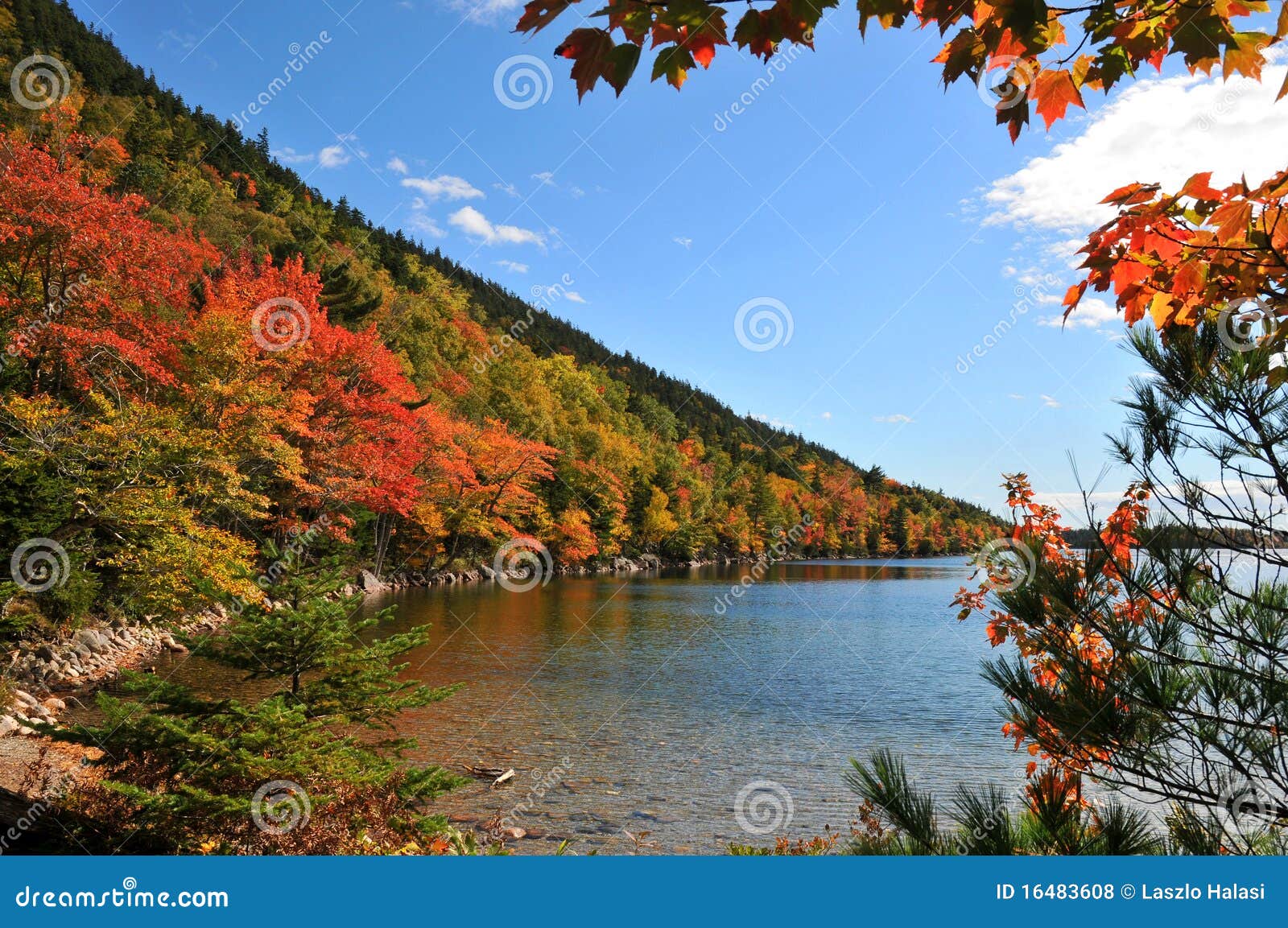 Autumn Colors in the National Park of Bar Harbor Stock Photo - Image of ...