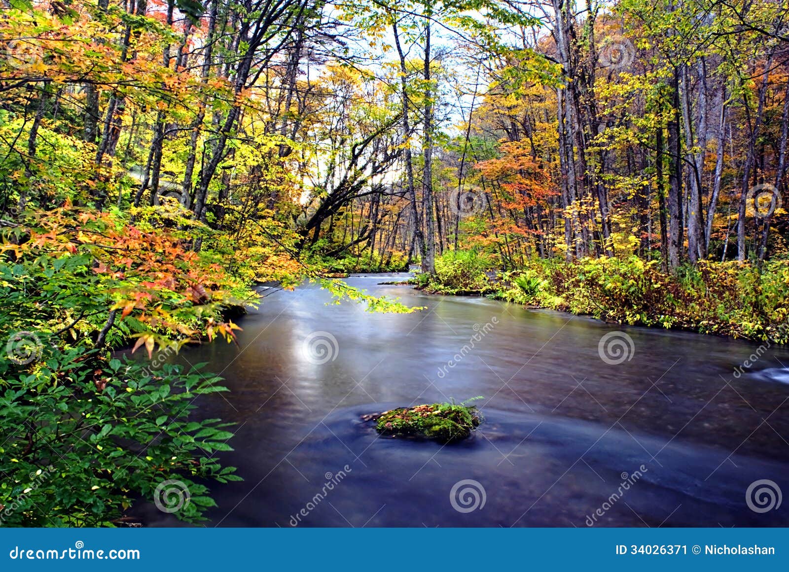 Autumn Colors of Oirase Stream Stock Image - Image of colorful, foliage ...