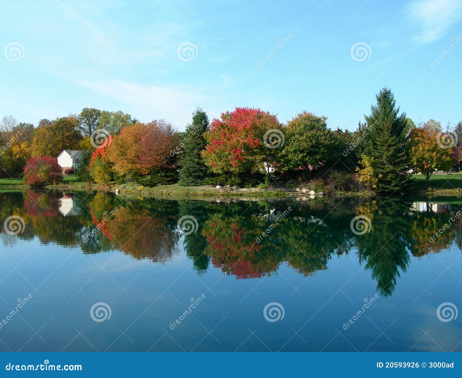 Autumn colors with pond stock photo. Image of nature - 20593926