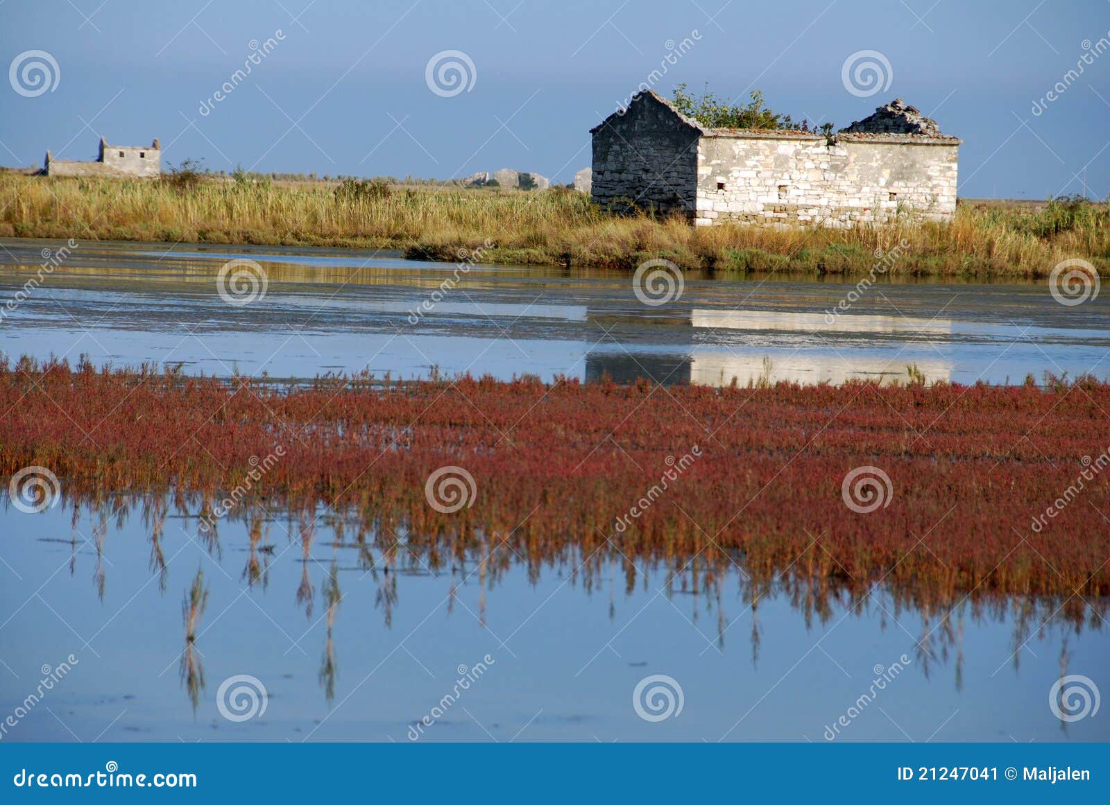 Autumn Colors in Salt Marsh Stock Image - Image of copy, brackish: 21247041