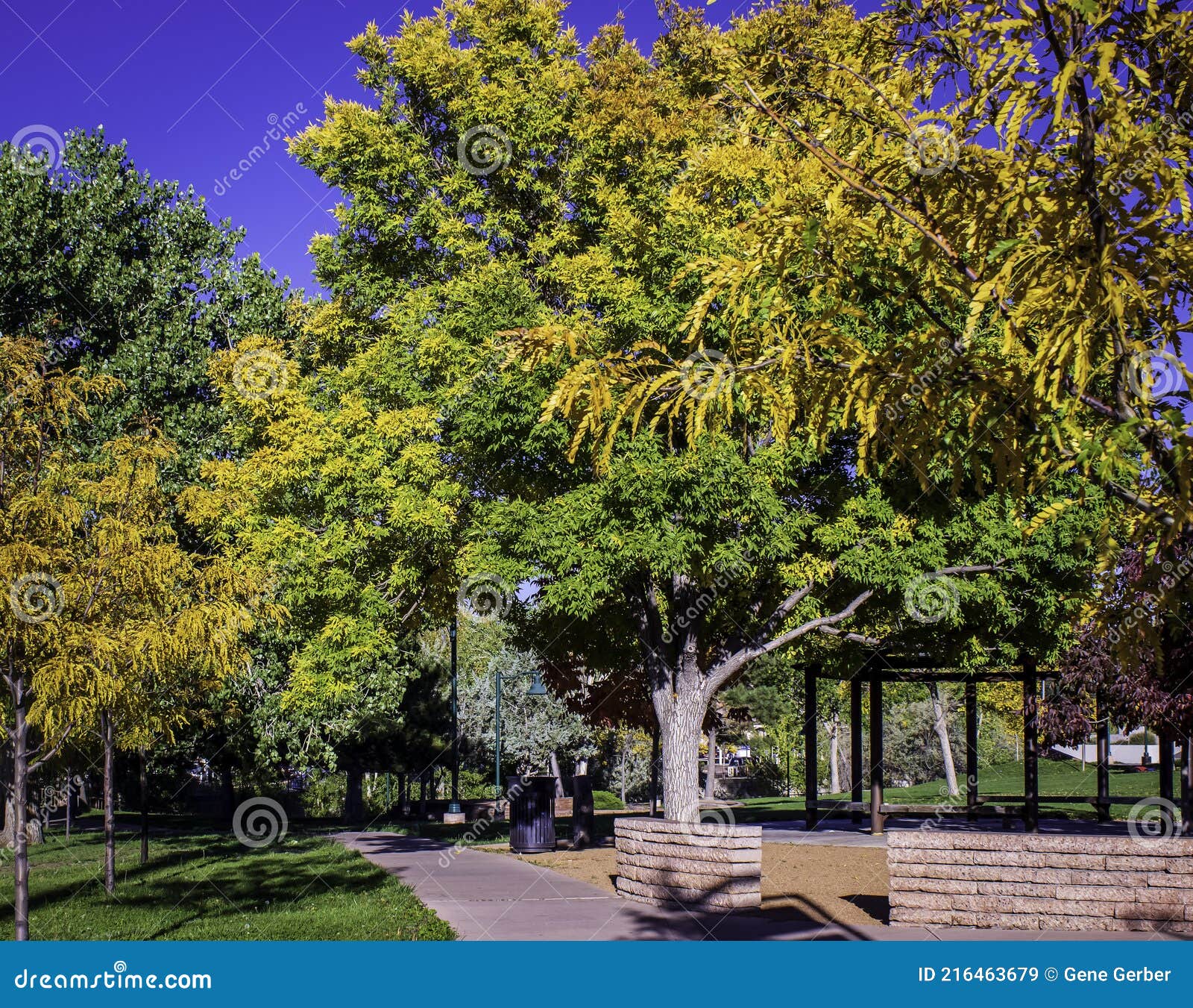 Autumn Colors in Santa Fe stock image. Image of green - 216463679