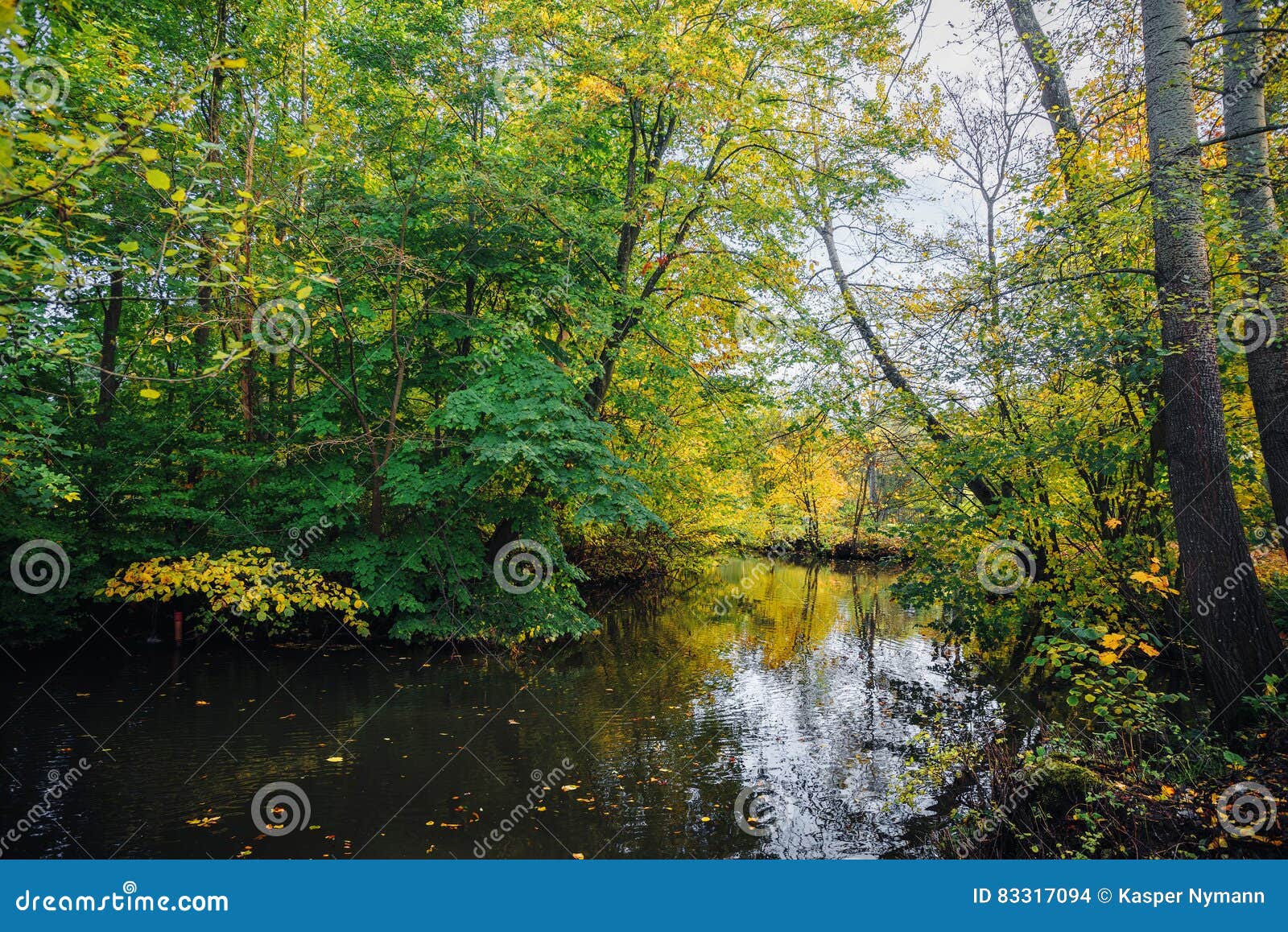 Autumn Colors on the Trees Near a River Stock Photo - Image of outdoor ...