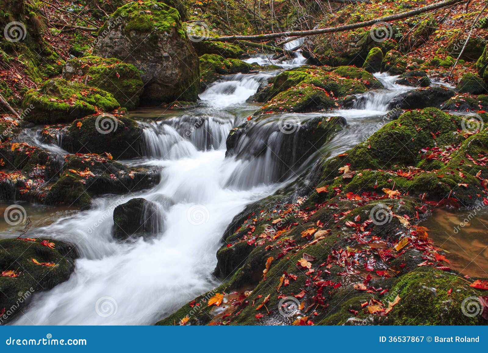 Autumn Colors of a Waterfall Stock Image - Image of environment, leaves ...