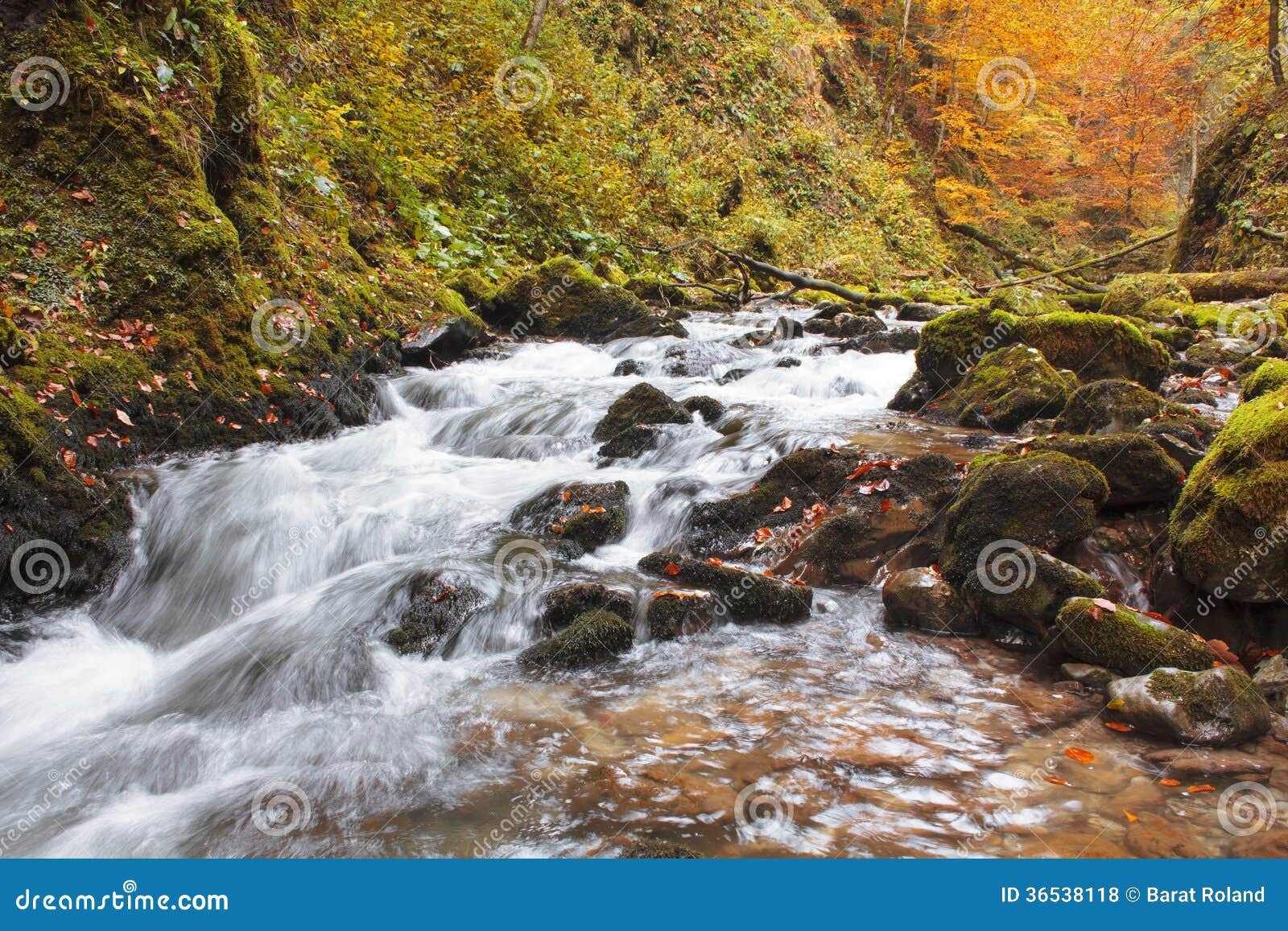 Autumn Colors of a Waterfall Stock Photo - Image of orange, forest ...