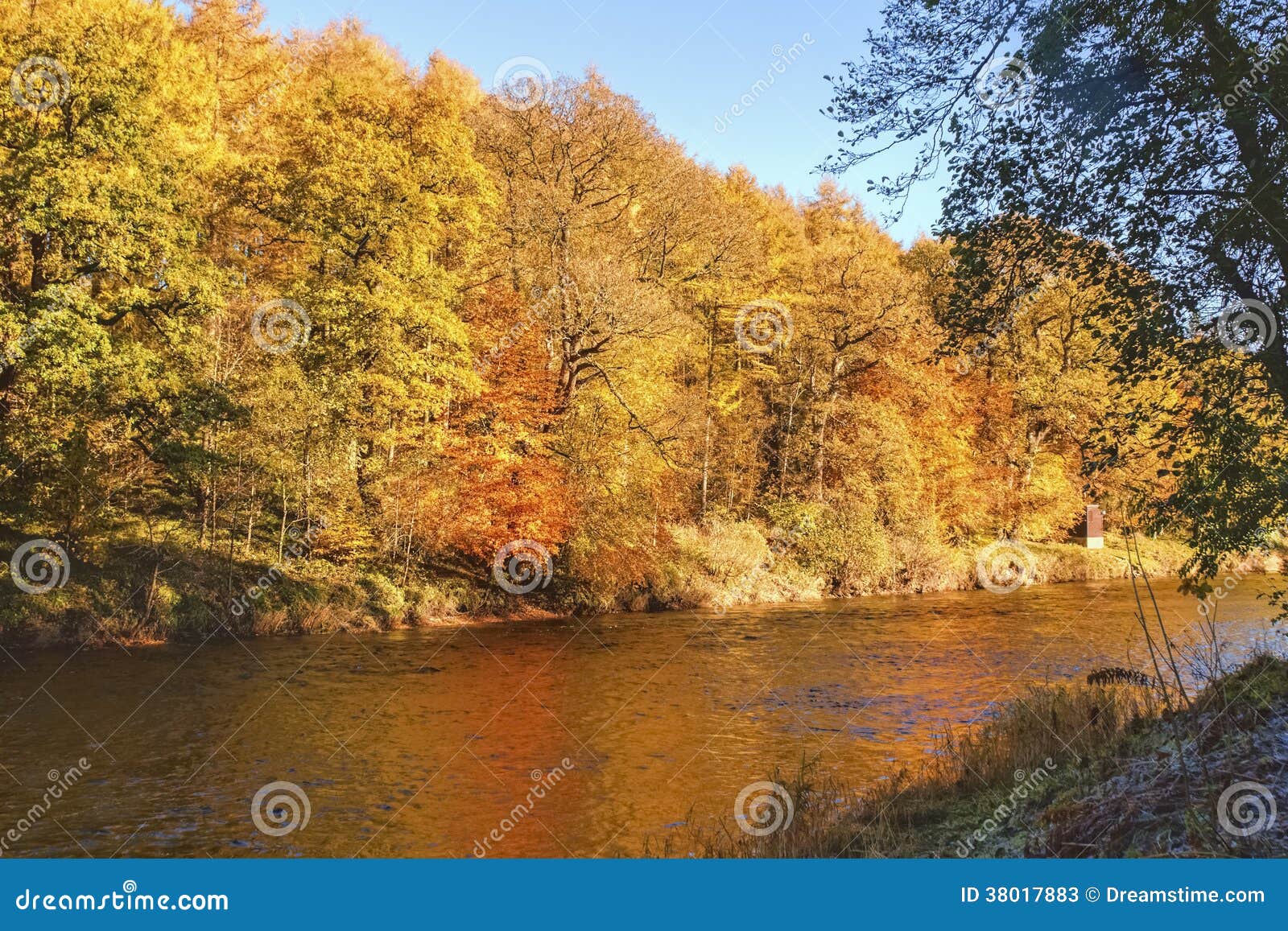 Autumn Colours, Riverside Walk, November 2013 Stock Image - Image of ...