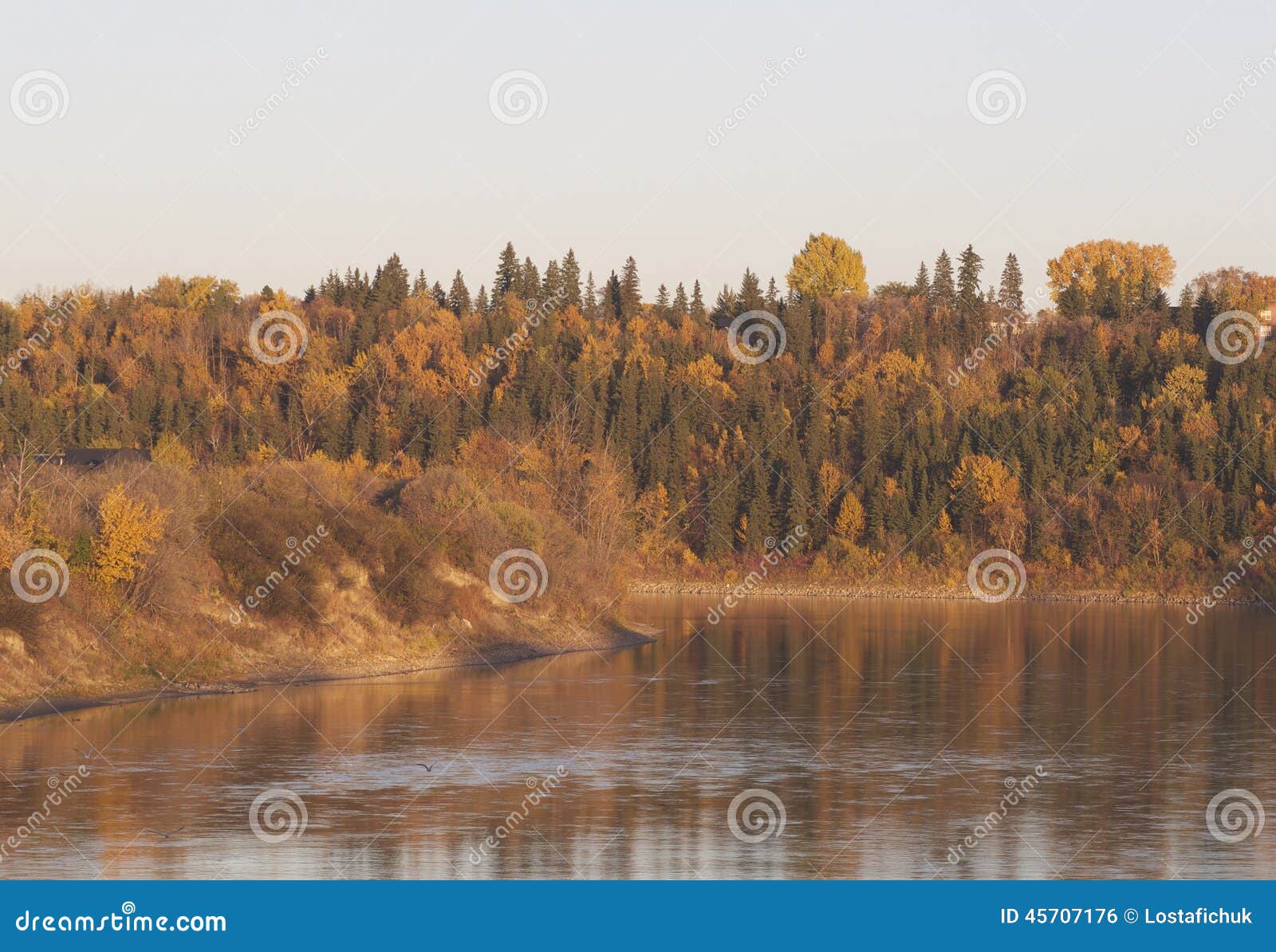 Autumn Colours at Sunset on North Saskatchewan River Stock Photo ...