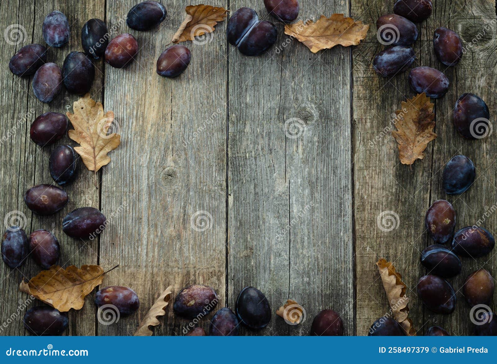 Autumn Composing with Plums and Fall Leaves. Fall Still Life Stock ...