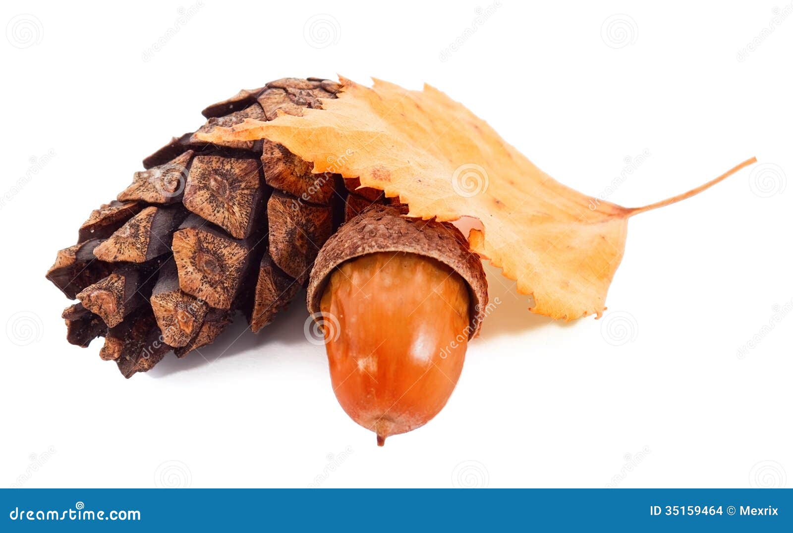 Autumn composition stock photo. Image of decor, fire - 35159464