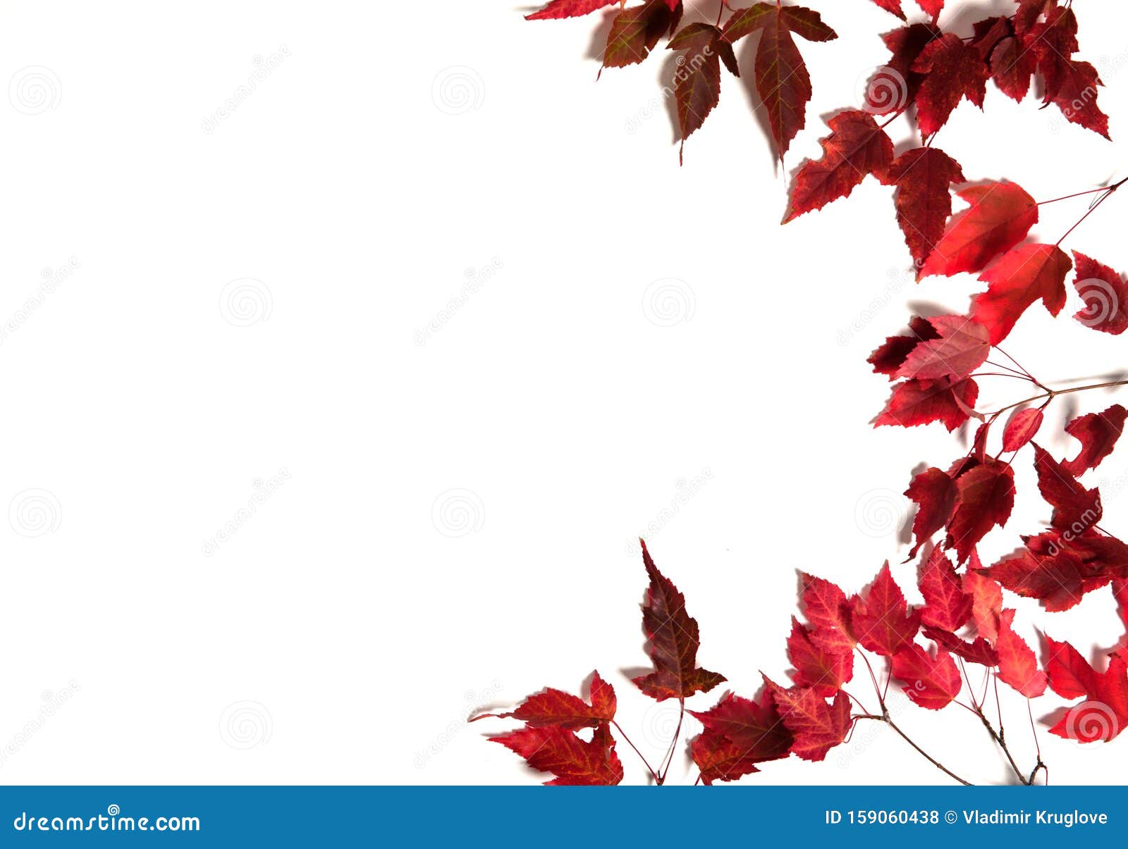 Red Fall Leaves Border
