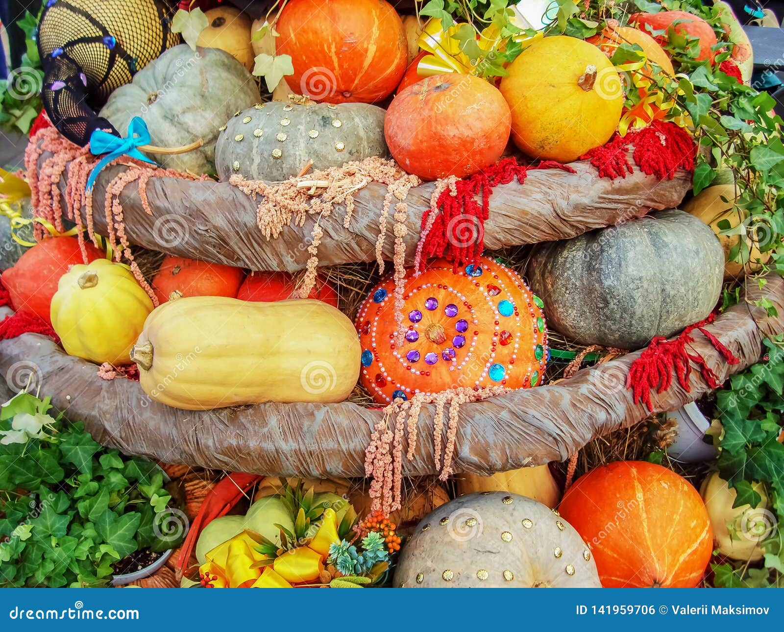 Different Types Pumpkins Stock Images - Download 267 Royalty Free Photos