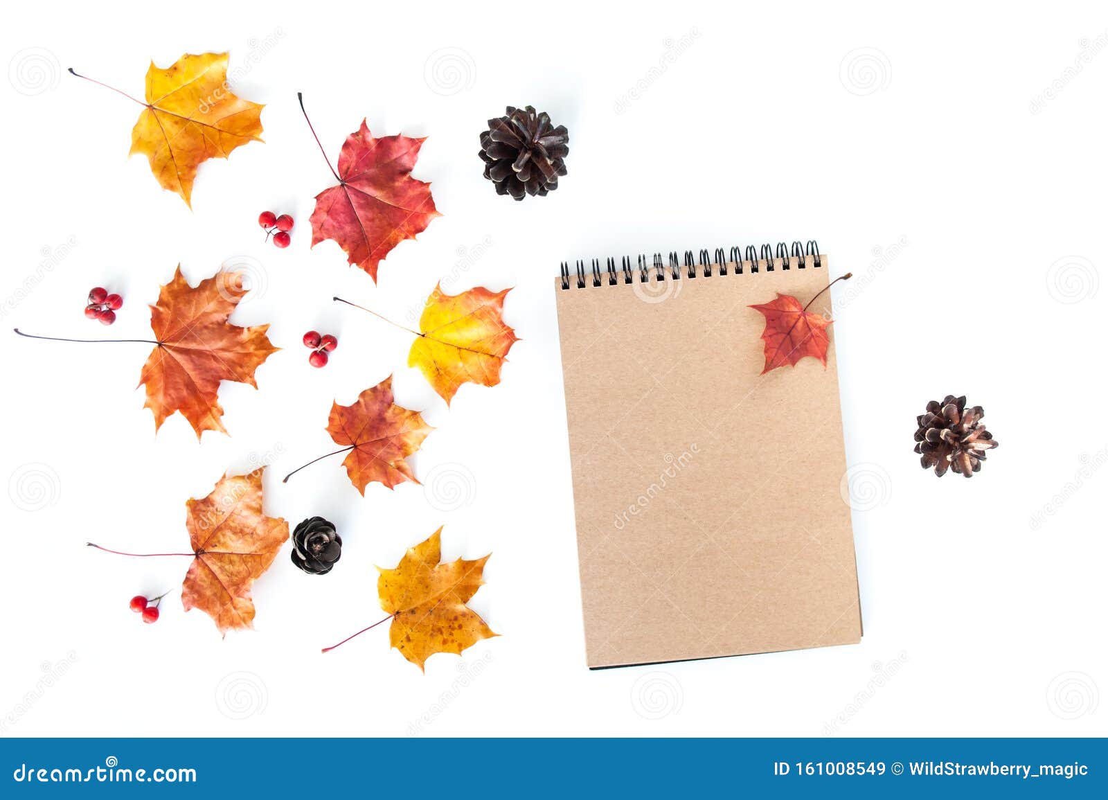 Autumn Composition with Empty Craft Notebook and Autumn Leaves on a ...