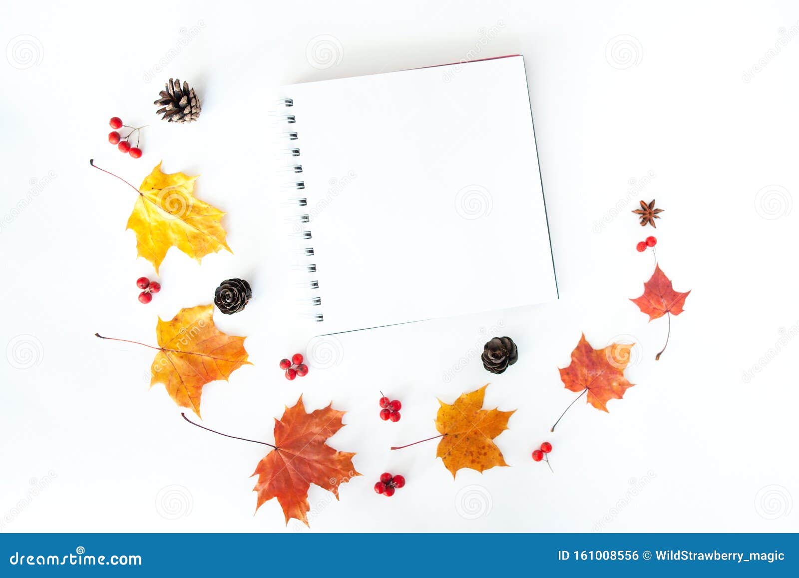 Autumn Composition with Empty Notebook and Autumn Leaves on a White ...
