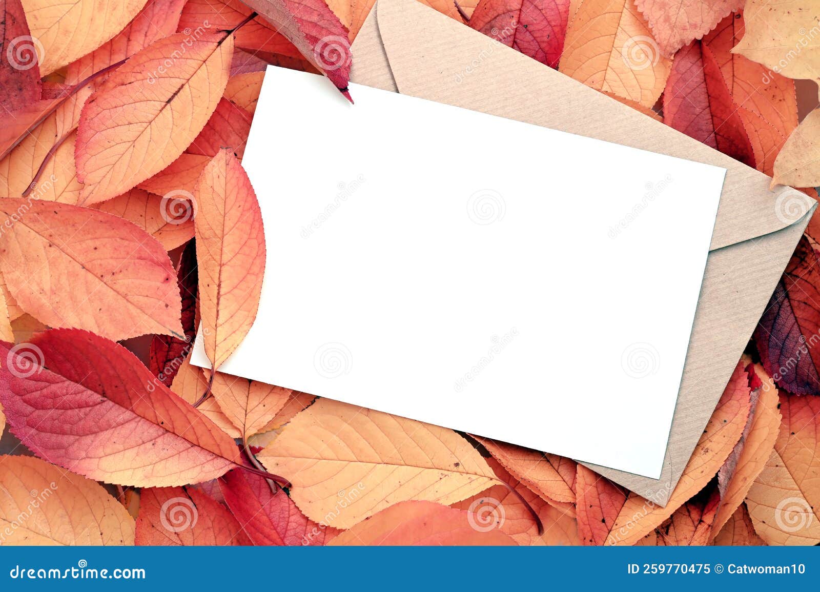 Autumn Composition. Envelope, Leaves and White Background. Autumn, Fall ...