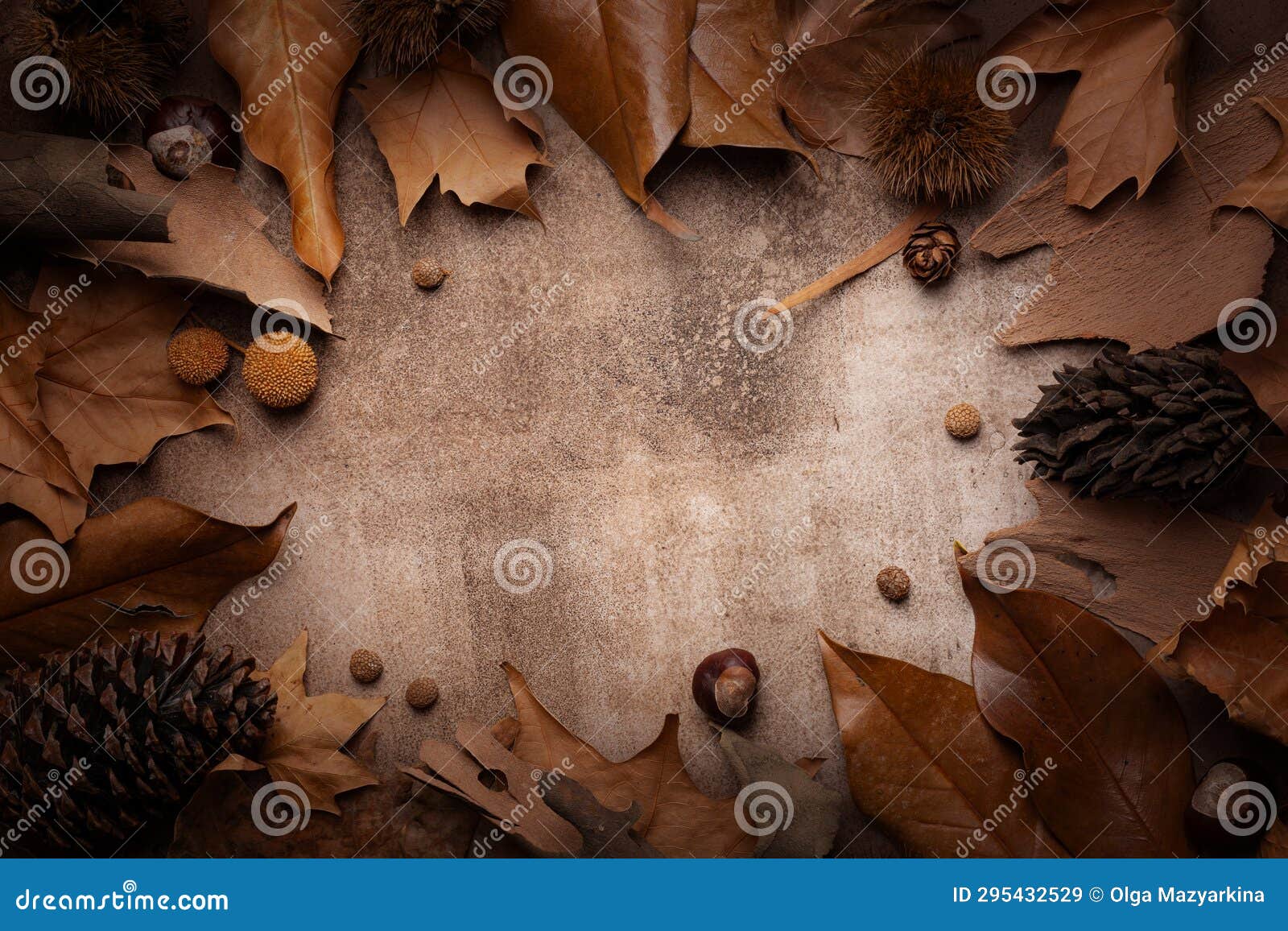 Autumn Composition. Fall Dried Brown Leafs, Nuts, Pine Cones, Chestnuts ...