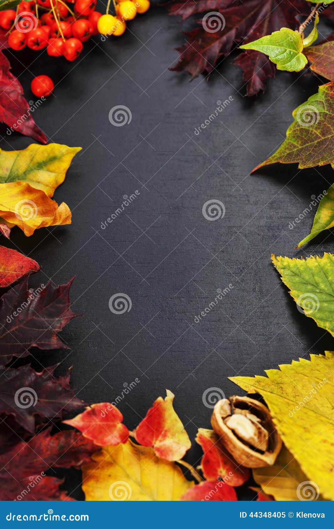 Autumn composition stock image. Image of damaged, beautiful - 44348405
