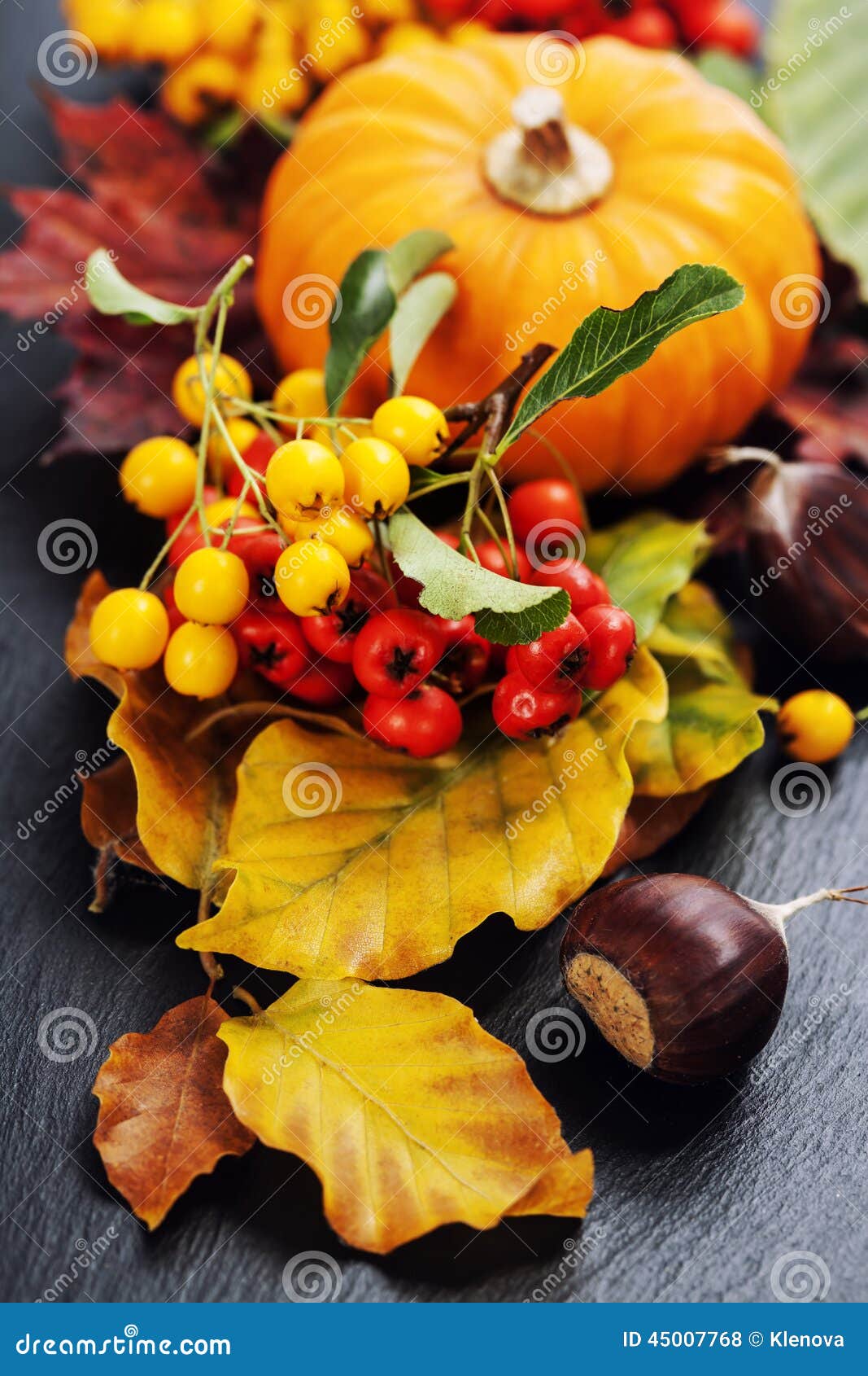 Autumn composition stock photo. Image of design, damaged - 45007768
