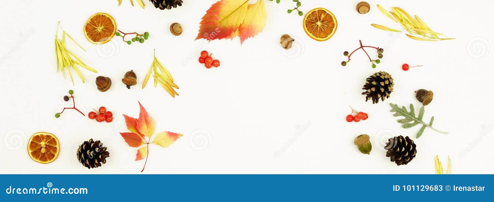 Autumn Composition. Frame Made of Autumn Maple Tree Leaves Stock Image ...