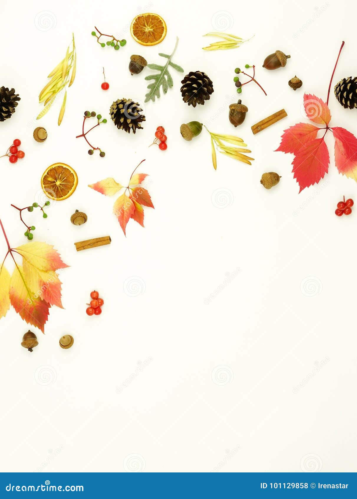 Autumn Composition. Frame Made of Autumn Maple Tree Leaves Stock Photo ...