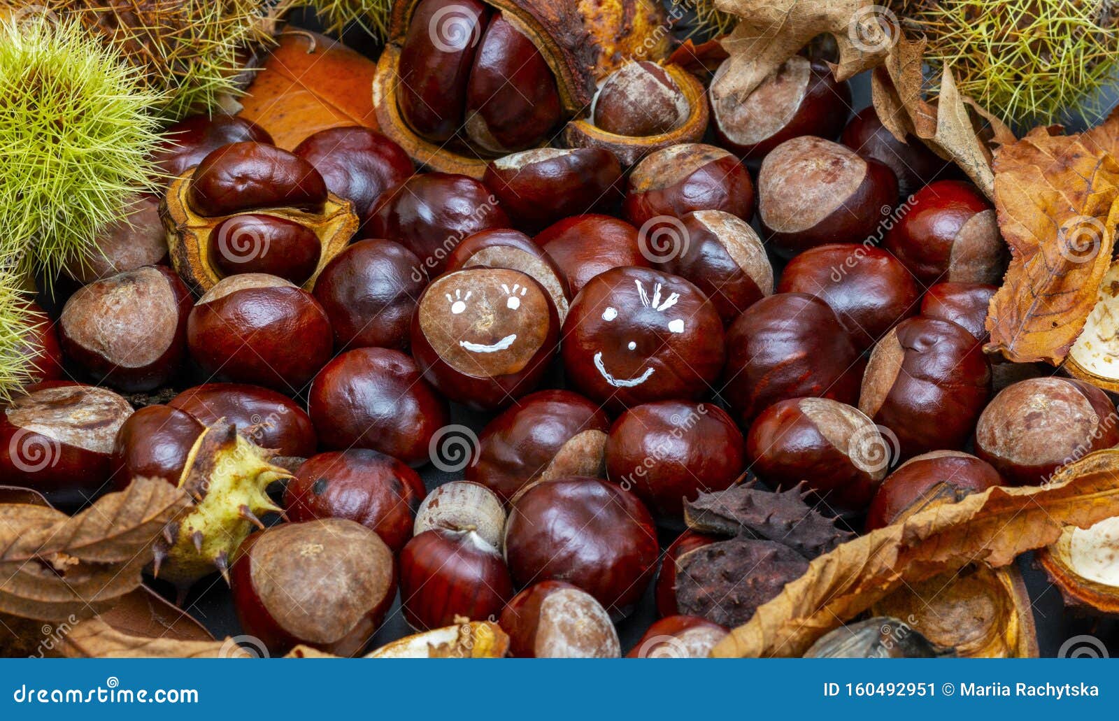 Autumn Composition with Fresh Chestnuts with a Smile and Fall Foliage ...