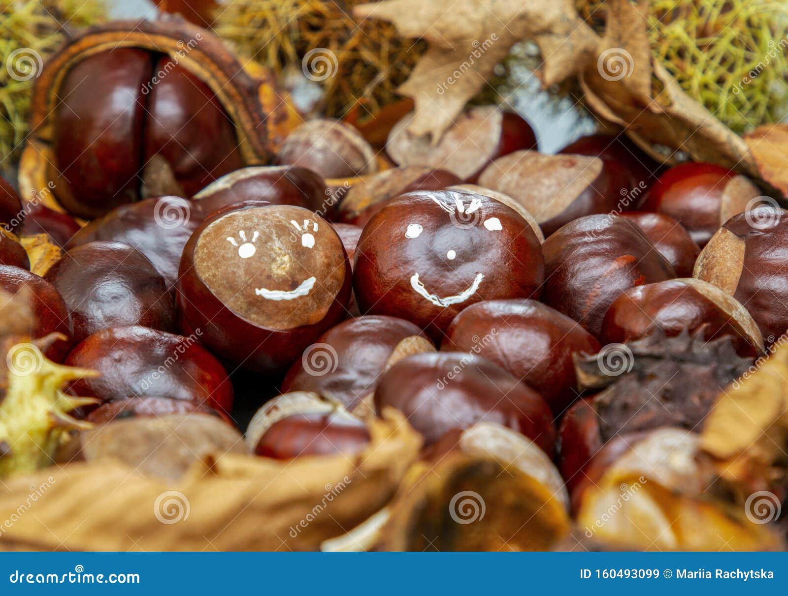 Autumn Composition with Fresh Chestnuts with a Smile and Fall Foliage ...
