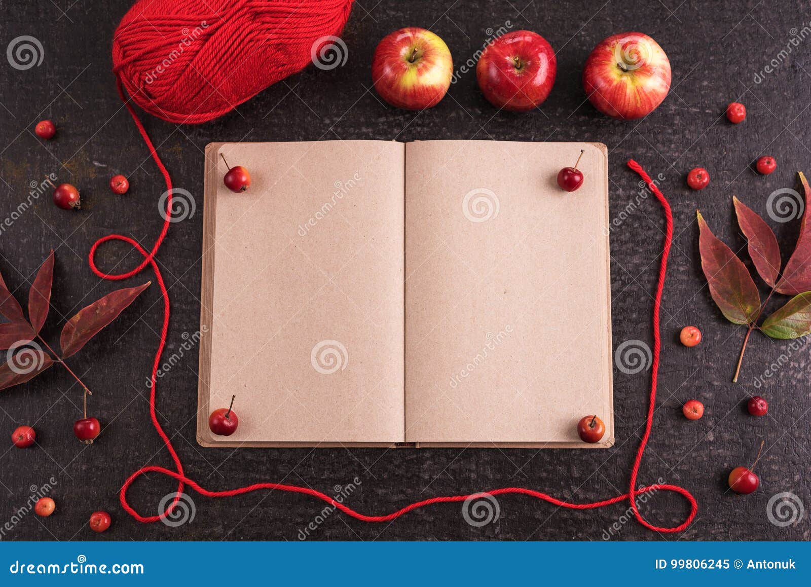 Autumn Composition with an Old Empty Book Stock Image - Image of ...
