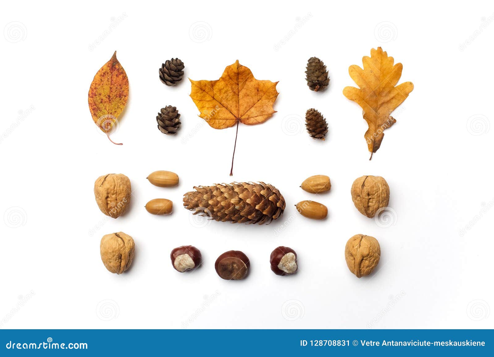 Autumn Composition. Pattern Made of Autumn Leaves, Pine Cones on White ...