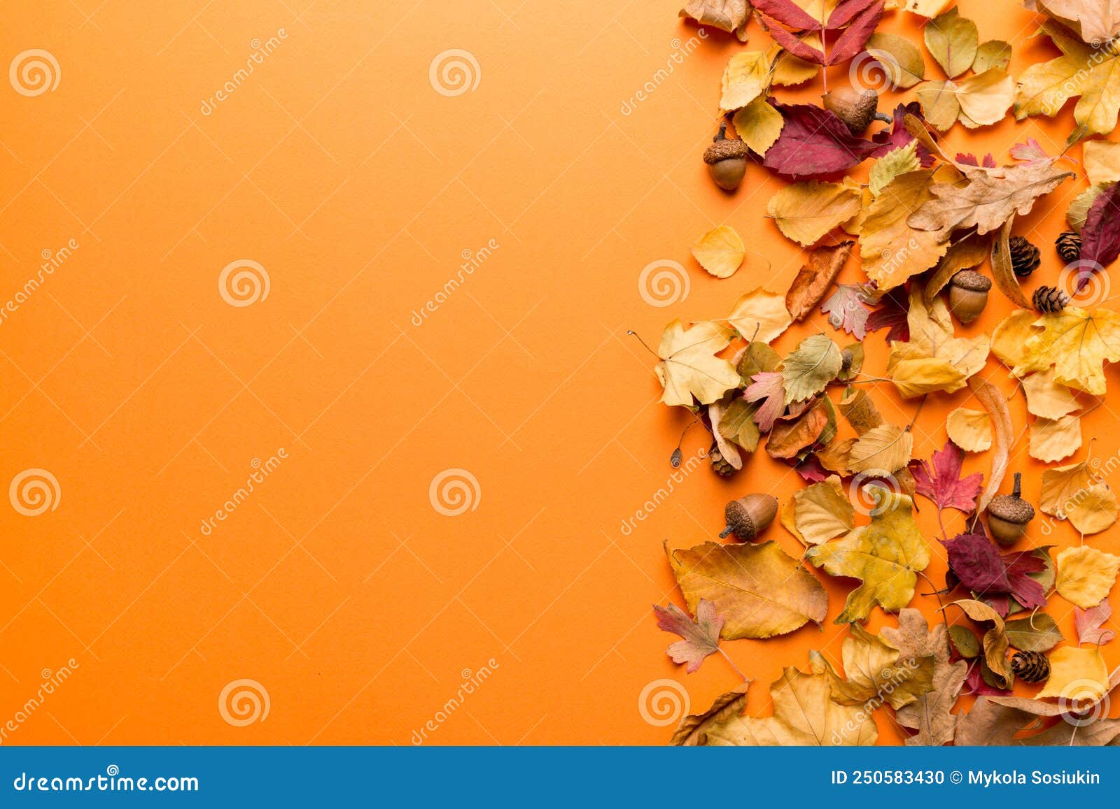 Autumn Composition. Pattern Made of Dried Leaves and Other Design ...