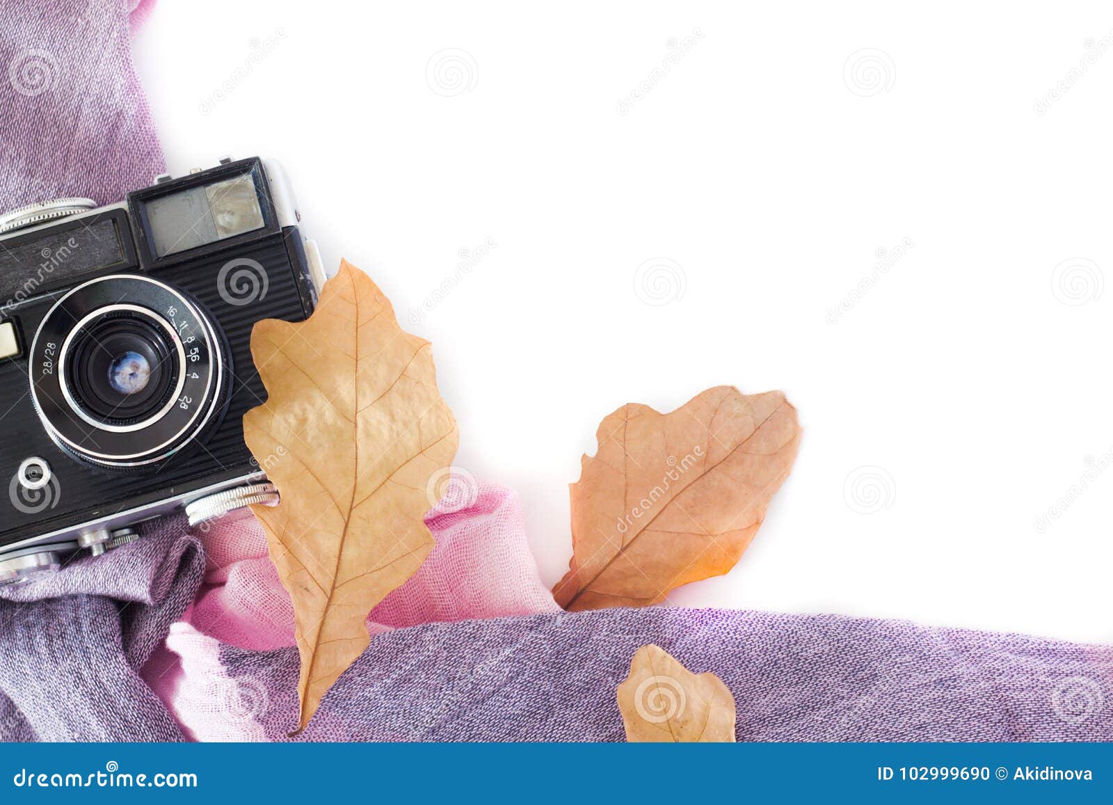 Autumn Composition. Retro Camera, Autumn Leaves on a White Background ...