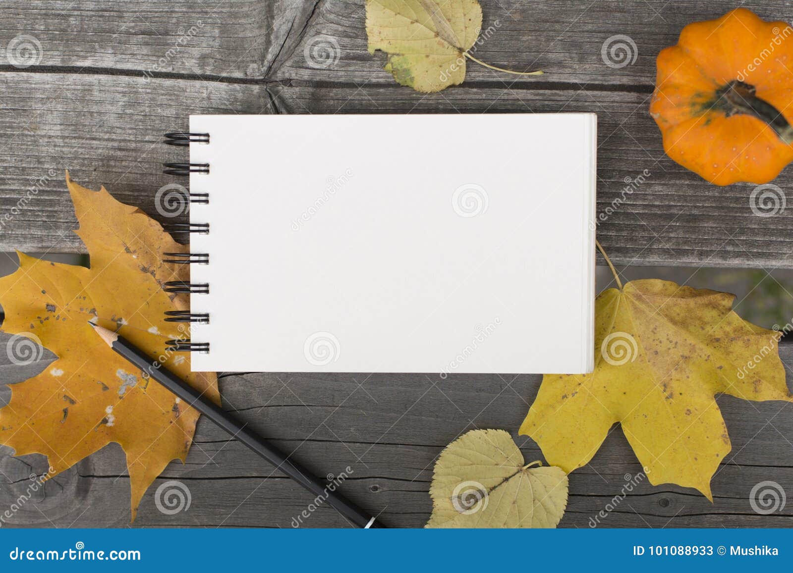 Autumn Composition with Blank Notebook Fallen Leaves and Pumpkin Stock ...