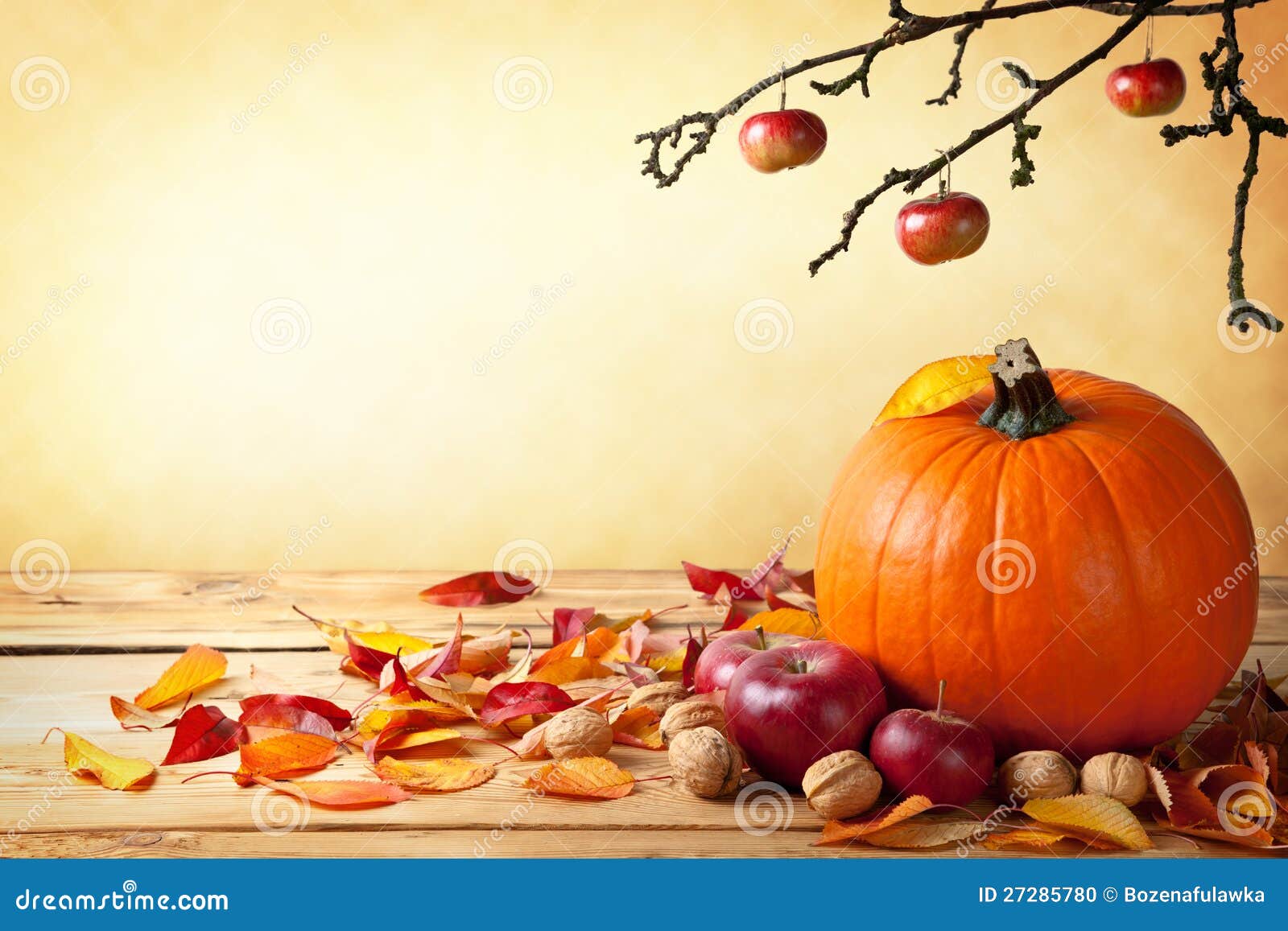 Autumn Concept stock photo. Image of copyspace, seasonal - 27285780