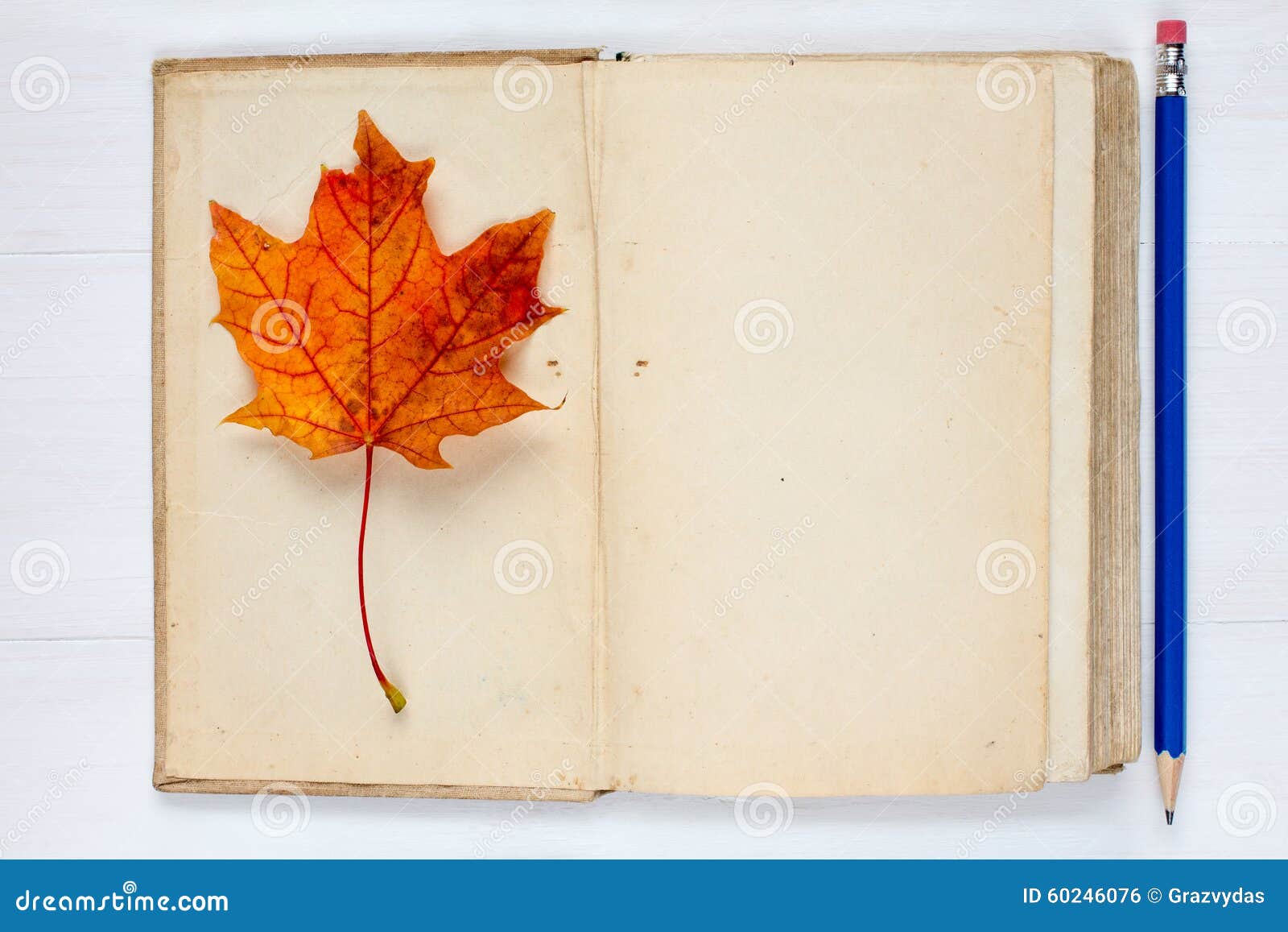 Autumn Concept with Book and Fall Leaf Stock Photo - Image of ...