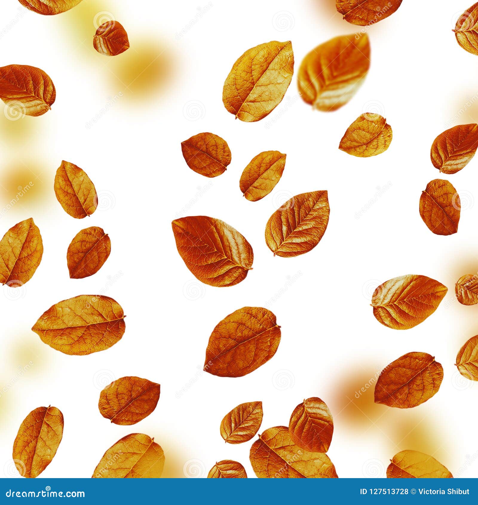 Autumn Concept. Bright Flying Fall Leaves on White Background Stock ...
