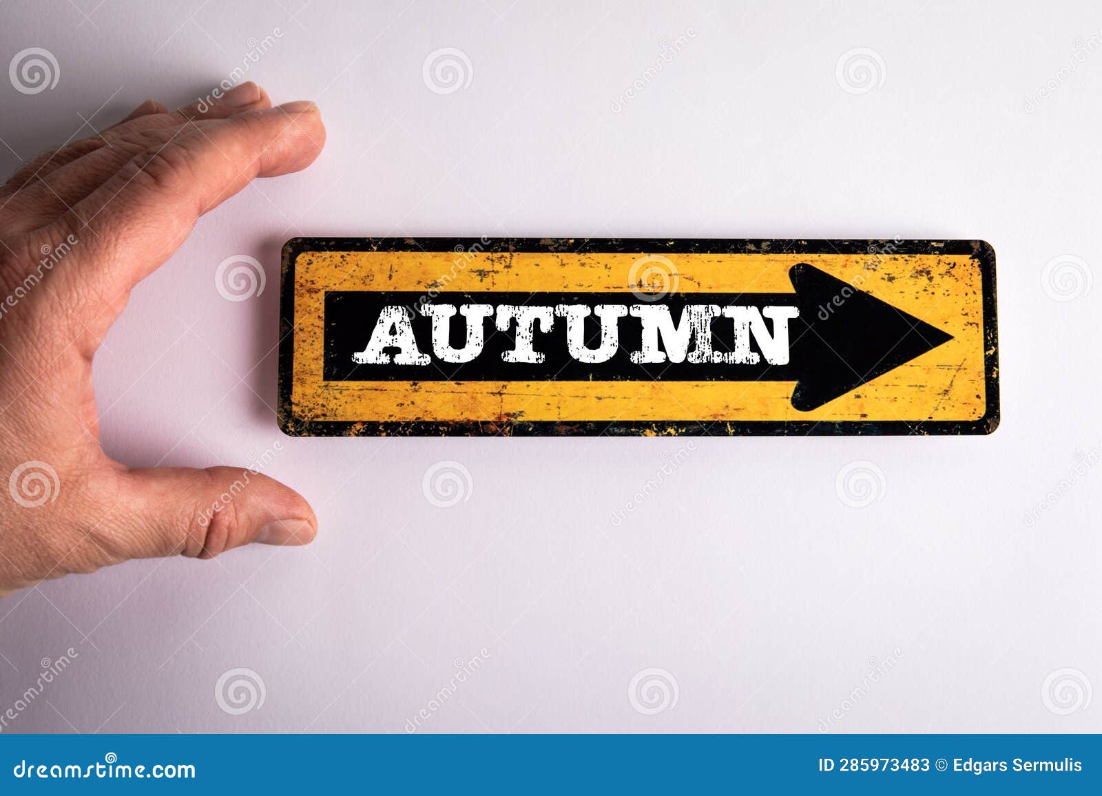Autumn Concept. Direction Arrow with Text on White Background Stock ...