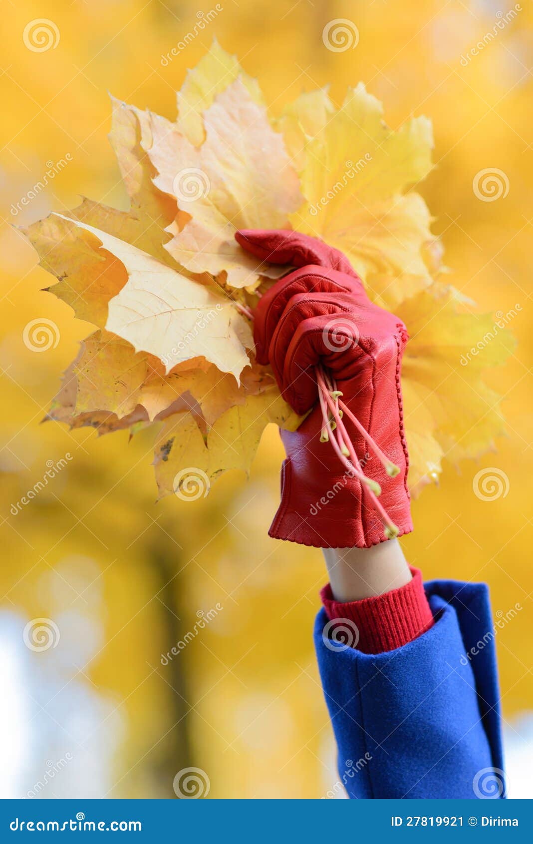 Autumn Concept with Golden Leaves Stock Image - Image of holding ...
